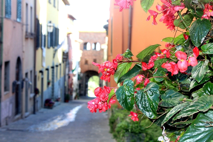 Bryolová :: PRIMA TOSKÁNSKO